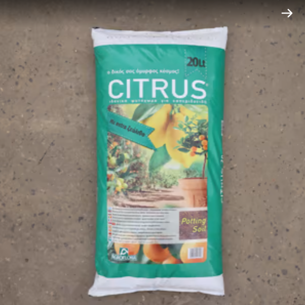 Five Citrus bags for citrus fruits (20) liters/bag – Gulf palms – Nakhyl